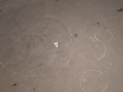 Delhi: Man shot dead by three assailants in Nehru Vihar, probe underway ...