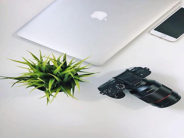 Study reveals desktop plant can help combat workplace stress | www ...