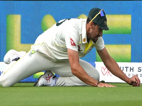 Ashes, 2nd Test: MCC clarifies why Mitchell Starc's catch of Ben ...