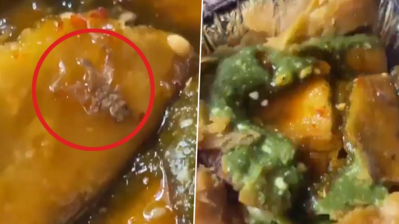 Ghaziabad: Man Finds Dead Spider Inside Samosa, Shocking Video Goes ...