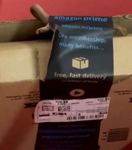 Bengaluru Couple Finds Cobra in Amazon Package Meant for Xbox ...