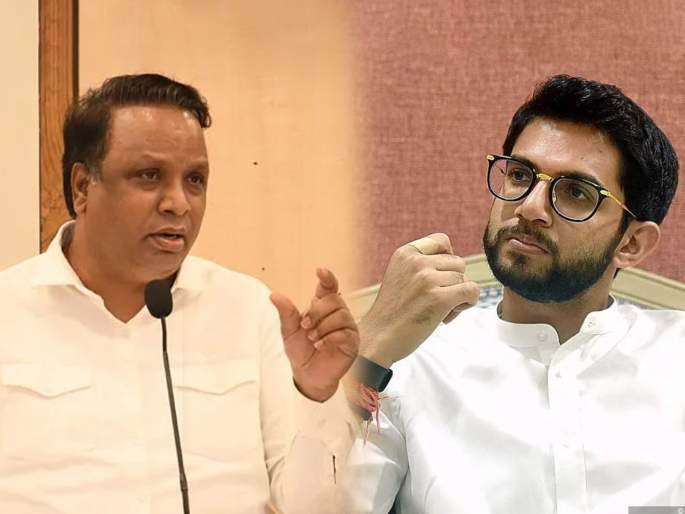 Aaditya Thackeray must resign from Worli Assembly, challenges Ashish Shelar - www.lokmattimes.com