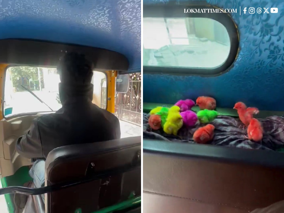 Viral Video of Bengaluru Auto-Rickshaw Carrying Colourful Baby Birds ...