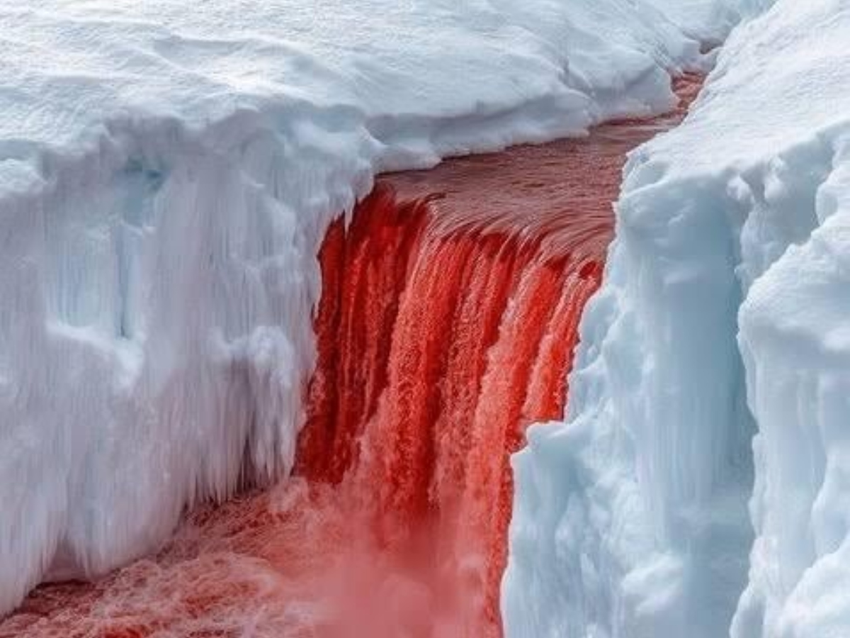 Blood Falls: Scientists Unveil the Secret Behind Taylor Glacier Red ...
