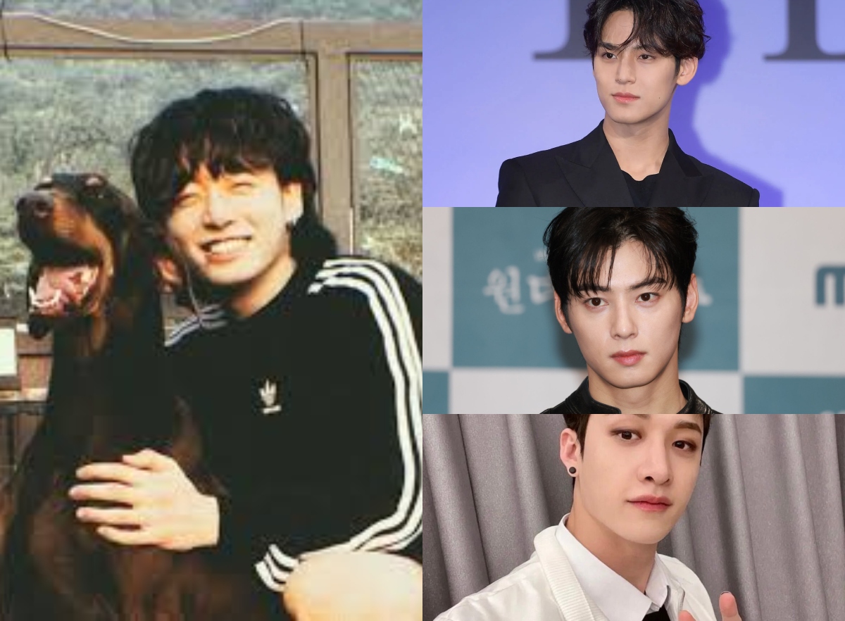 BTS Jungkook Follows 97 Liners on Instagram Through His Pet Dog Bam's ...