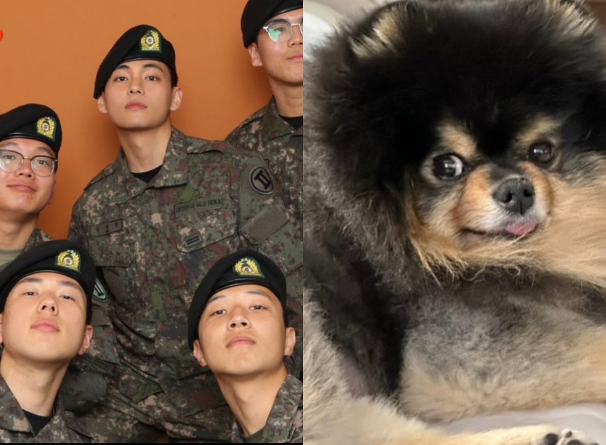 BTS V Reunites With Pet Dog Yeontan; Fans Say: Kim Taehyung Came Home ...