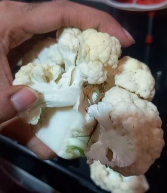 Health Alert: Viral Video Shows Insects in Cauliflower Amid Monsoon ...