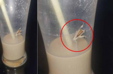 Cockroach in Cold Coffee: Mumbai Man Finds Insect in Drink at Malad ...