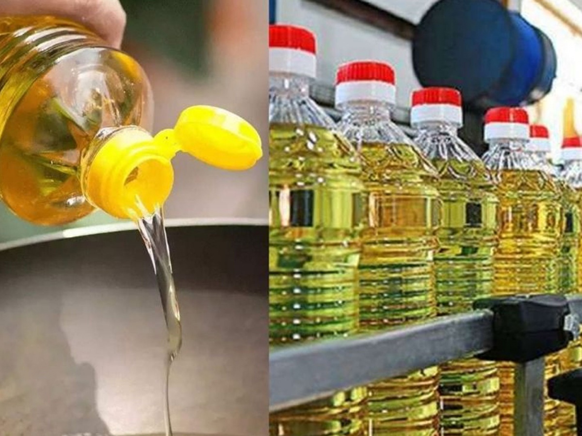 Government Raises Export Duty on Molasses, Extends Lower Edible Oil ...