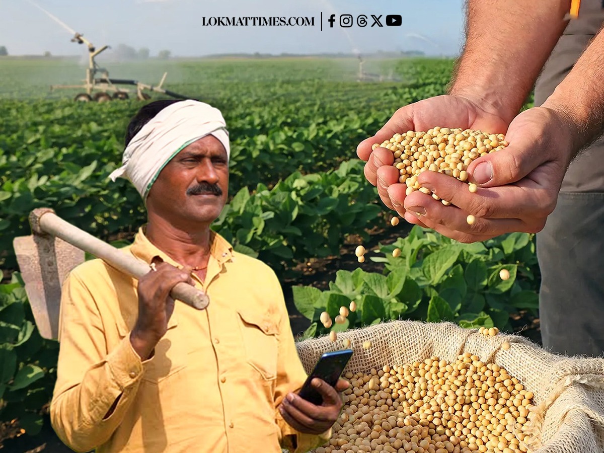 Free Soybean Seeds For 4,300 Farmers Under Government Scheme; Soil Test ...