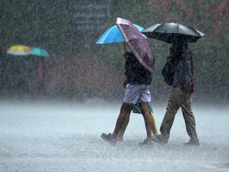 Maharashtra Rain Forecast: IMD Issues Red Alert for Palghar, Pune, and Other Districts; Orange ...