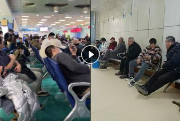 Human Metapneumovirus Outbreak in China: Hospitals and Crematoriums ...