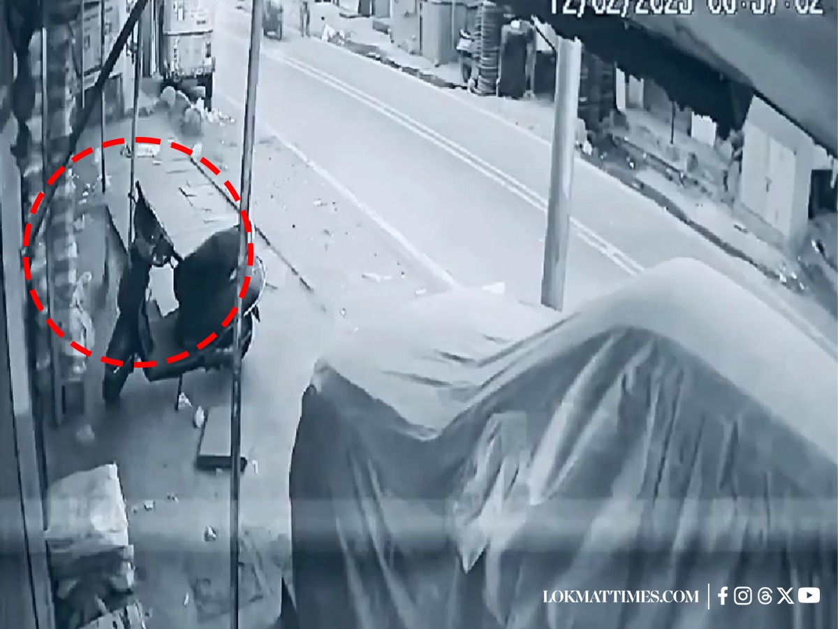 Hyderabad Temple Meat Row: CCTV Video Shows Cat Carrying Meat Into ...
