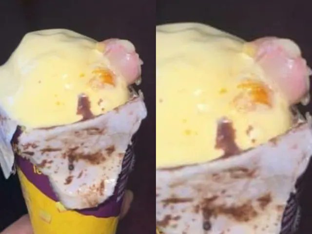 Mumbai Ice Cream Horror: DNA Report Reveals Whose Finger Was in Cone ...