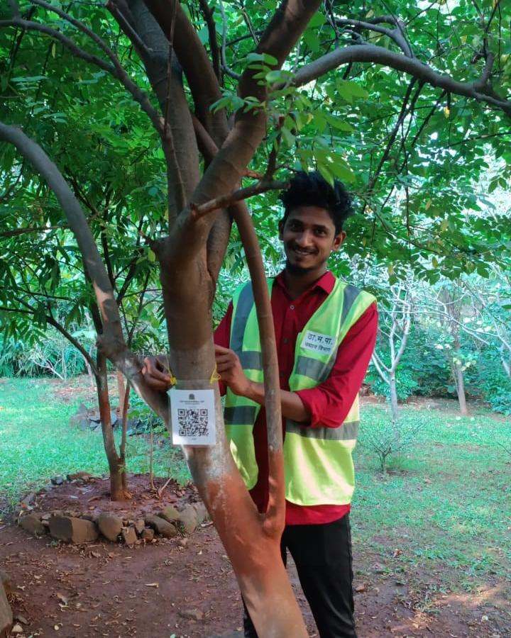 TMC Launches QR Codes for Trees, Citizens Ask What About Concrete ...