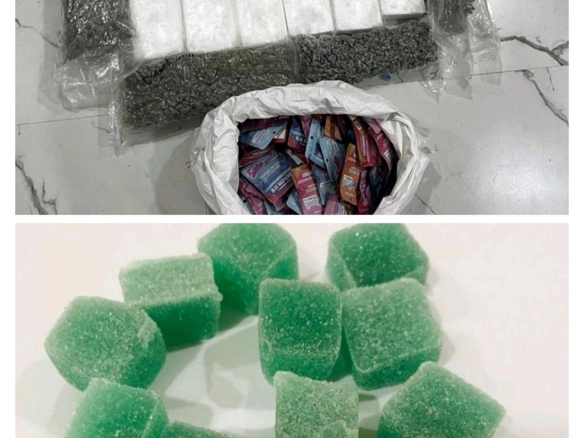 Mumbai: NCB Busts Drug Syndicate, Seizes 11.5 Kg Cocaine, Hydroponic ...