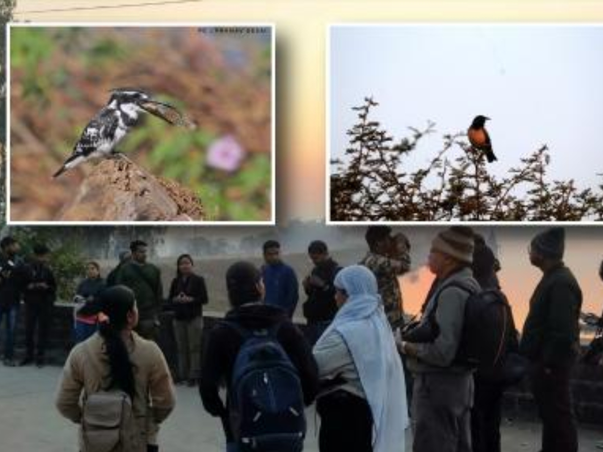 Kolhapur Bird Census 2025: 1,161 Birds from 105 Species Spotted at ...