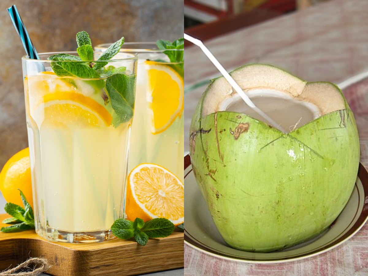 Summer Drinks: Coconut Water vs Lemonade; Know Their Benefits and Best ...