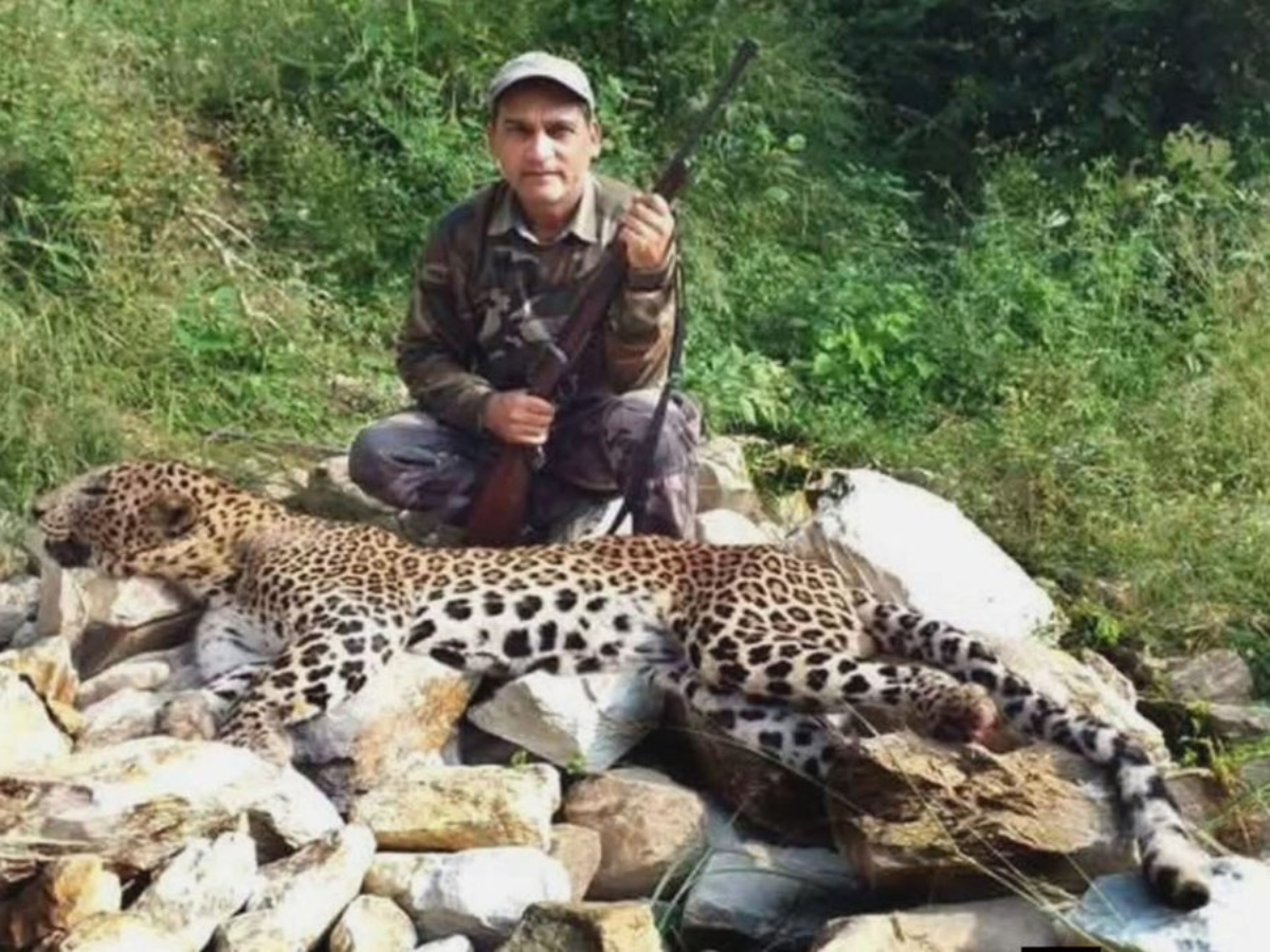 Uttarakhand: Man-Eating Leopard Killed in Pauri After Terrorising ...