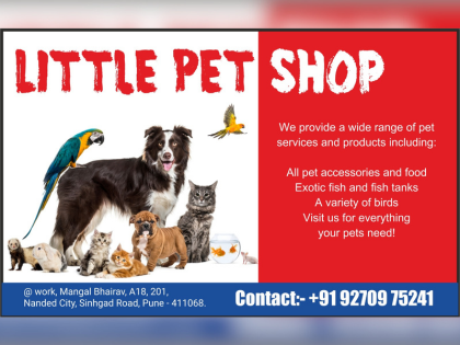 Little Pet Shop: A Place for Animals, With A Mission for Change - www ...