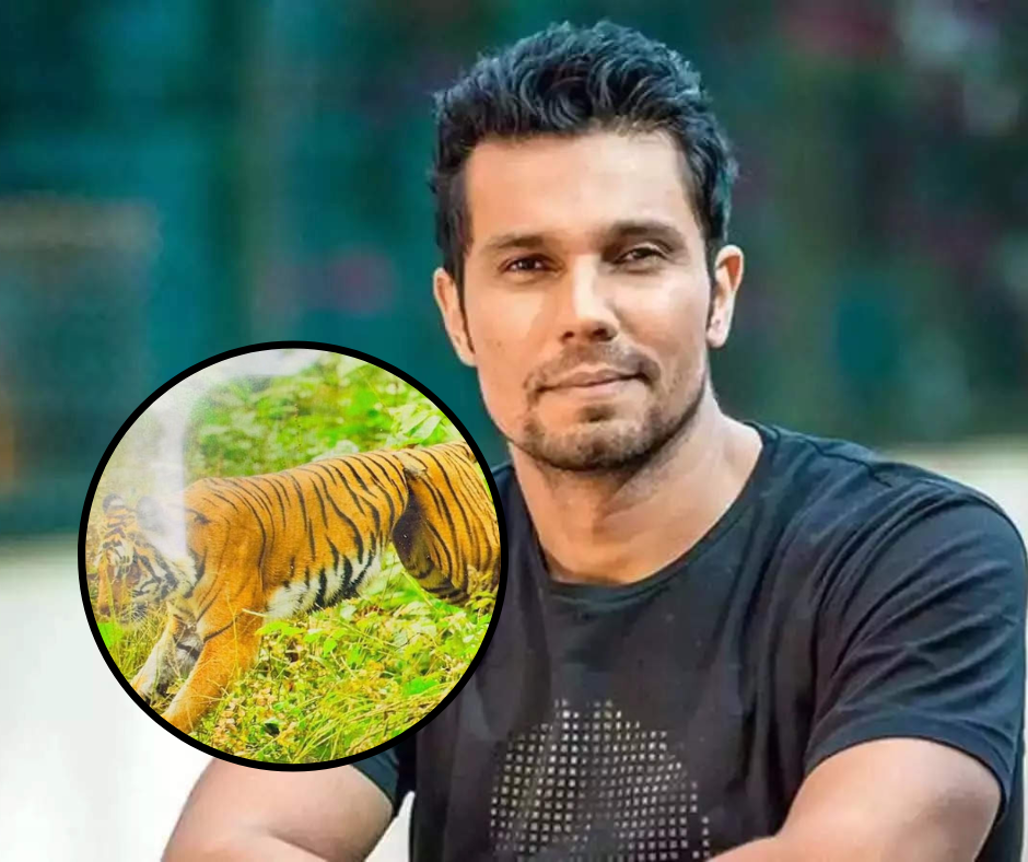 Actor Randeep Hooda Urges Swift Rescue for Tigress Trapped in Snare in ...