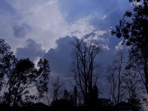 Maharashtra Weather Forecast: Cold Wave Hits Konkan; Heat Continues in ...