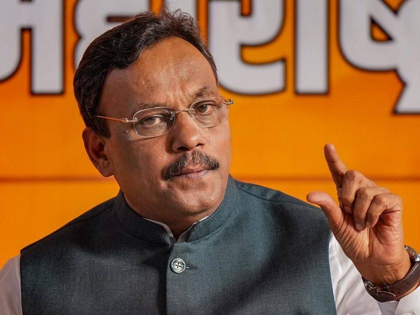 Lok Sabha Elections 2024: Maharashtra Leaders Shine in National ...