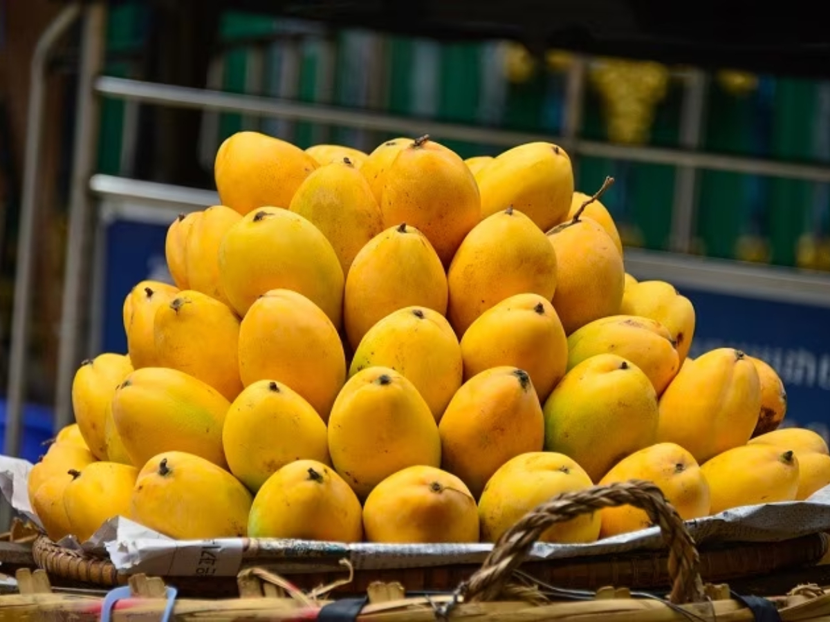 Mankurad Mango Hit Panaji Markets Goa, Priced at Rs 7,000 per Dozen ...