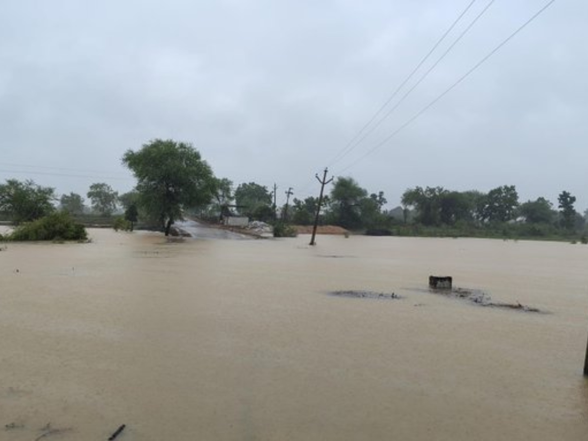 Nagpur Rains: Holiday Declared in All Schools and Colleges on July 9 in View of Heavy Rainfall ...