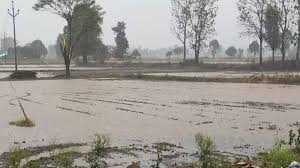 Nashik Weather Update: Light Rain Offers Brief Respite for Residents ...