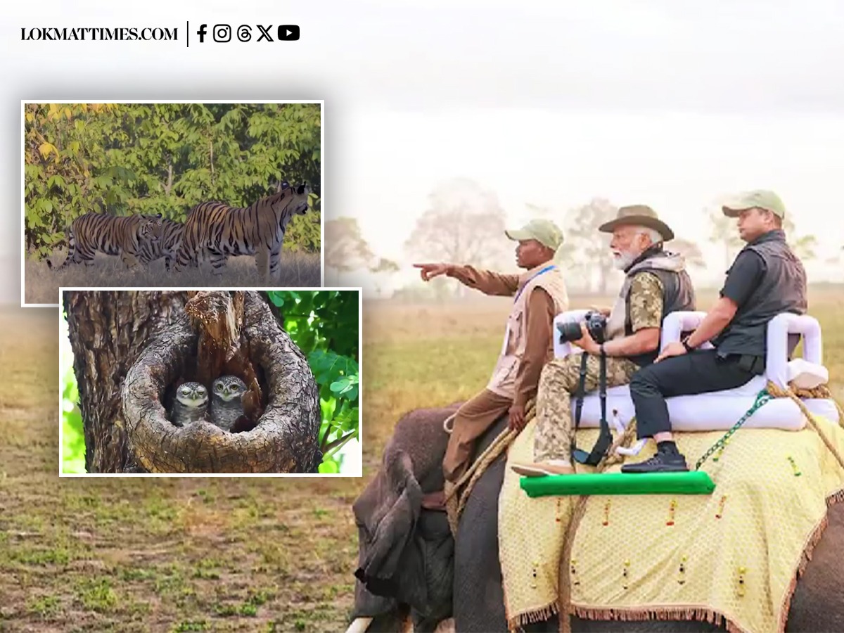 World Wildlife Day 2025: PM Narendra Modi Goes on Lion Safari in ...