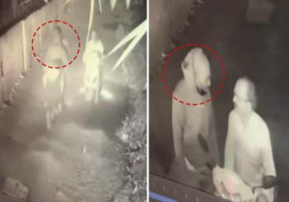 Pune Robbery Video: 53-Year-Old Man Returning from Temple Looted by ...