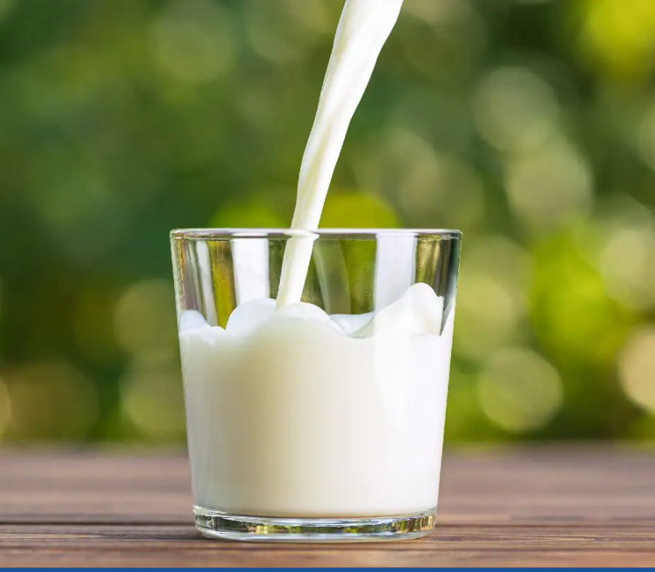 After Amul and Gowardhan, Gokul milk prices hiked by Rs 2 per litre ...