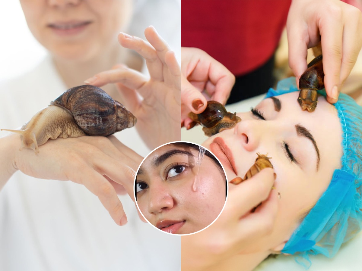 Snail Facials: Know About Unusual Skincare Trend Taking Social Media by ...