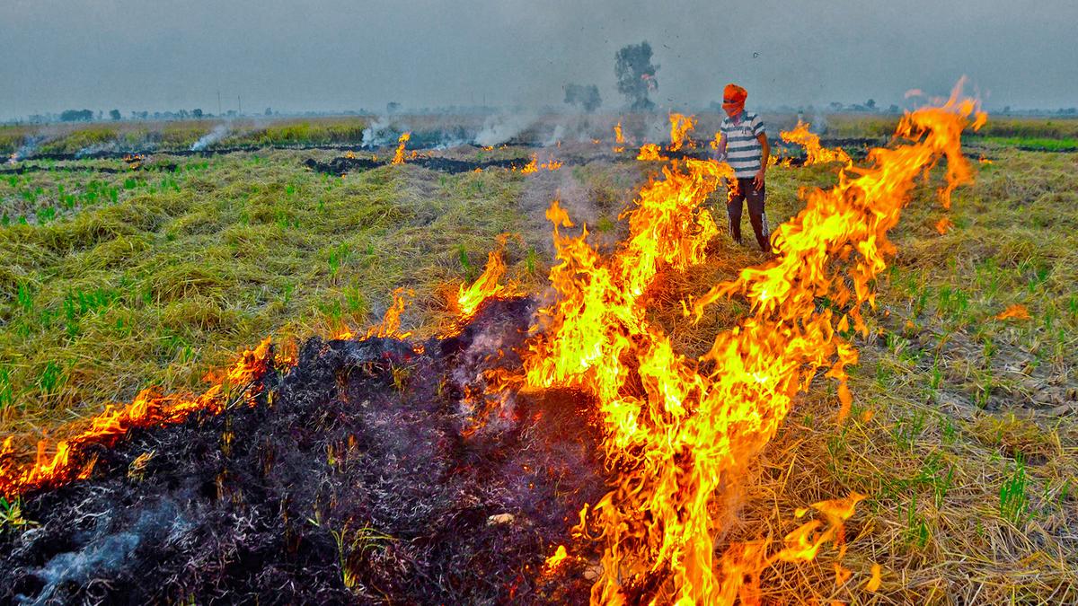 Centre Doubles Stubble Burning Fine: Farmers To Pay a Hefty Sum of Rs ...
