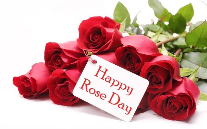 Rose Day 2024 History And Significance Of The First Day Of Valentine s Week www.lokmattimes