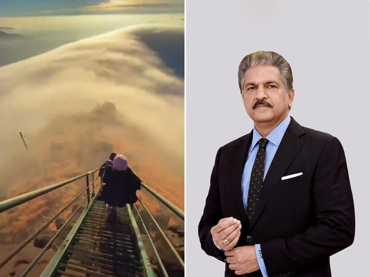 ‘Stop and Smell the Roses’: Anand Mahindra Mesmerized by Igatpuri’s Mt ...