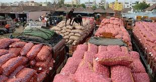 Export Duty on Onion to Be Removed from April 1, 2025, After Months of Restrictions - www ...