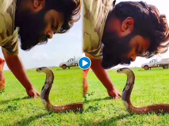 Viral Video! Man kissing a snake video goes viral - www.lokmattimes.com