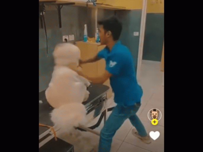 Animal Cruelty in Thane: Vet Clinic Staffer Arrested for Beating Dog ...