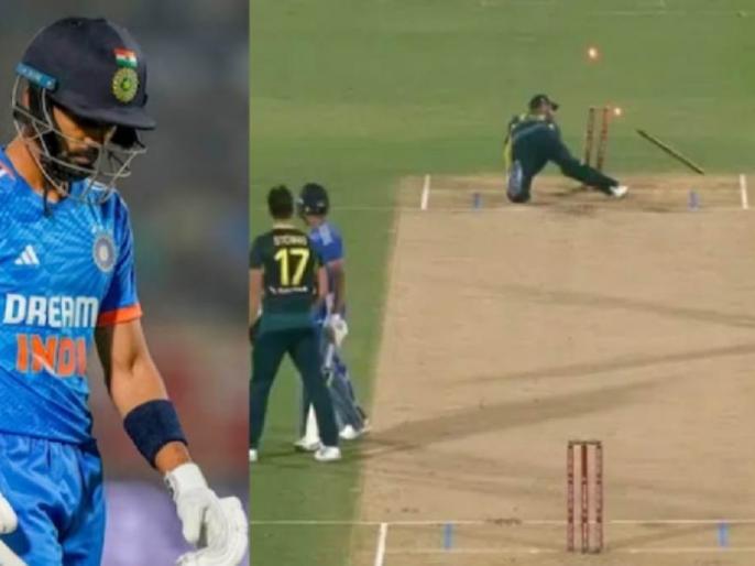 Today’s Google Googly: What Is a Diamond Duck? Find the Correct Answer ...