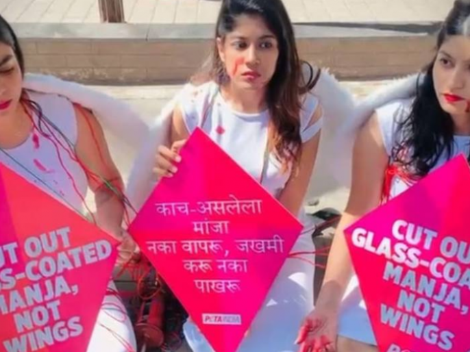 Pune: PETA protest against the use of glass-coated kite strings - www ...