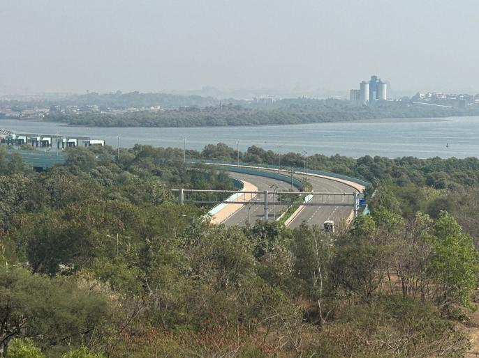 Nerul Jetty Signboard Removed After Flamingoes Die from Crashing into ...