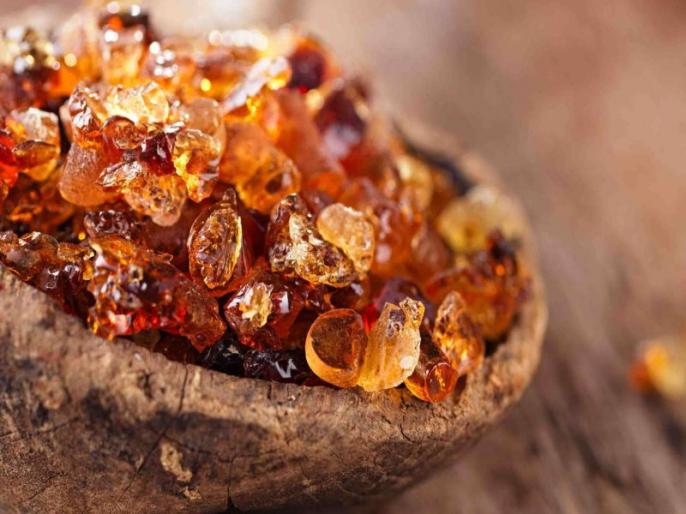 Get rid piles and hemorrhoids health benefits gum of babul tree in ...