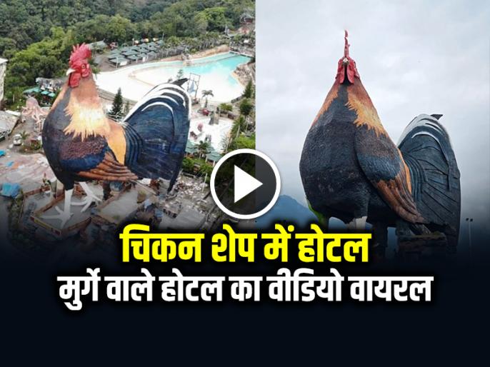 VIDEO: चिकन शेप में होटल, बनाया गिनीज वर्ल्ड रिकॉर्ड, मुर्गे वाले होटल ...