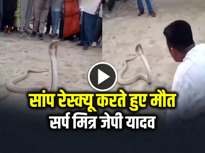 सांप रेस्क्यू करते हुए मौत, सर्प मित्र जेपी यादव की सांप डसने से गई जान ...