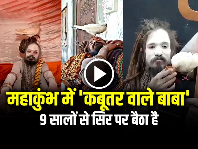 VIDEO: महाकुंभ में 'कबूतर वाले बाबा', 9 सालों से सिर पर बैठा है पक्षी ...