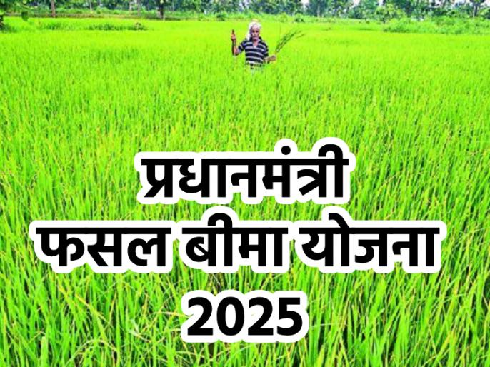 Fasal Bima Yojana 2025: किसानों के लिए जरूरी सूचना! 31 जुलाई से पहले ...